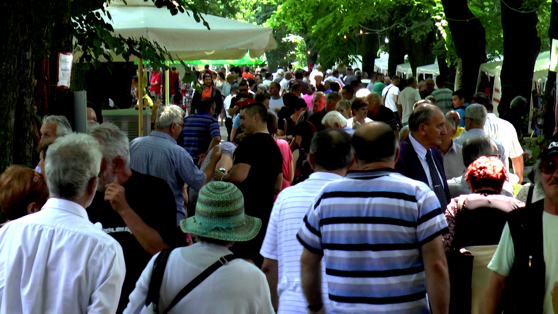 SRBIJA: Erdevik – Sremsko selo poznato po vinu i kulenu – Balkan-Turizam
