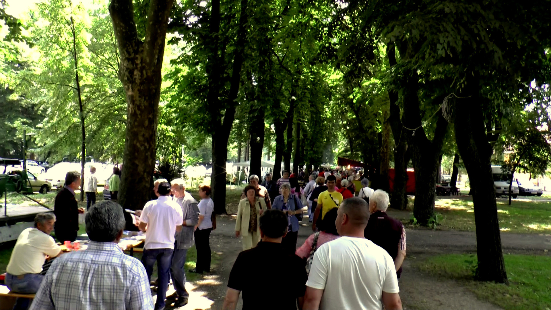 SRBIJA: Erdevik – Sremsko selo poznato po vinu i kulenu – Balkan-Turizam