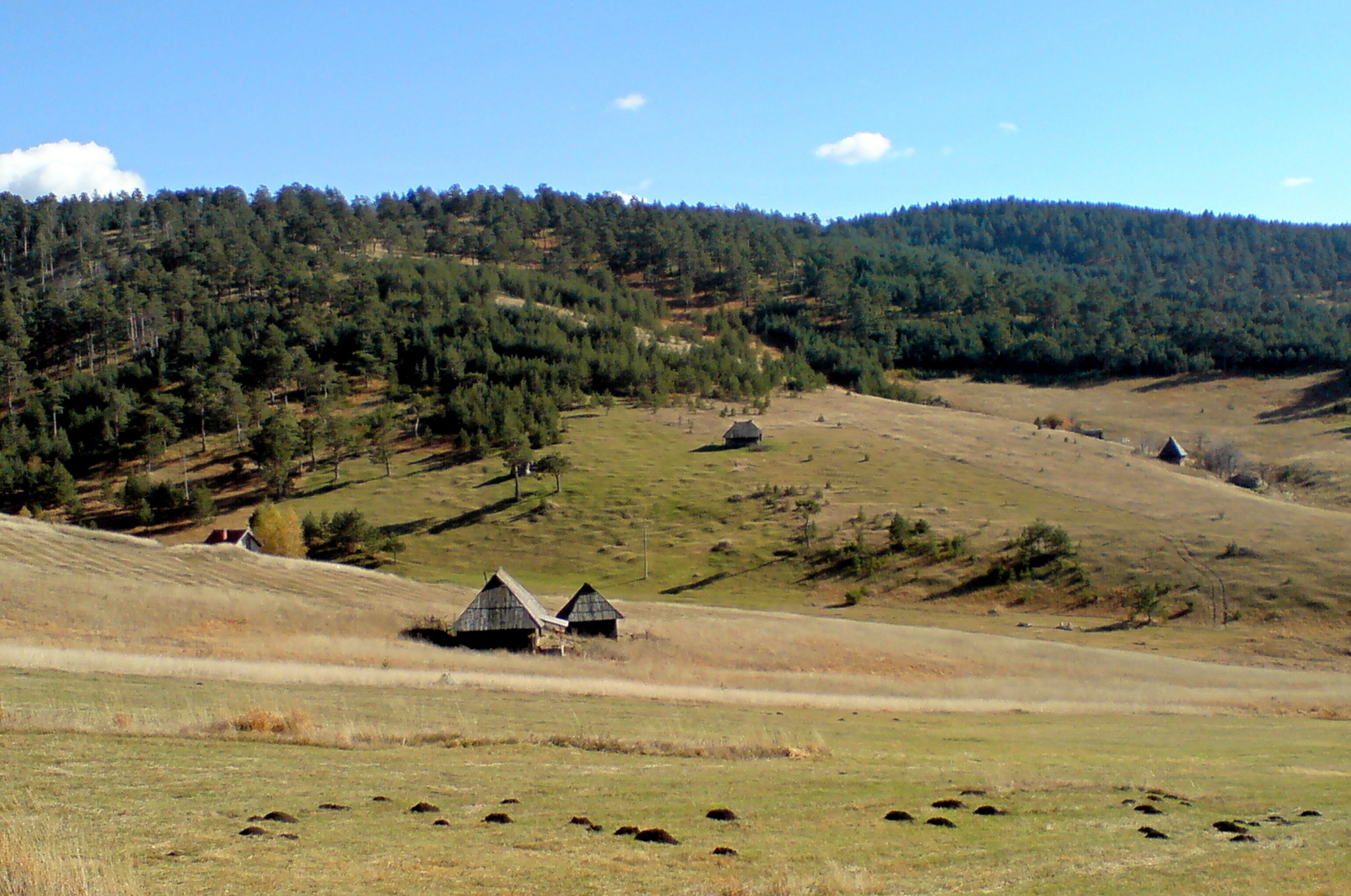 Srbija: Zlatibor – kraljevski za pet evra! – Balkan-Turizam